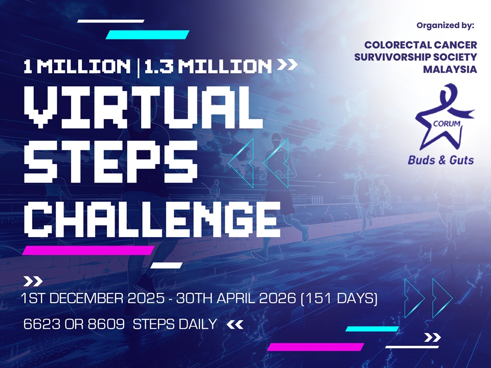 1 or 1.3 Million Virtual Steps Challenge 2025