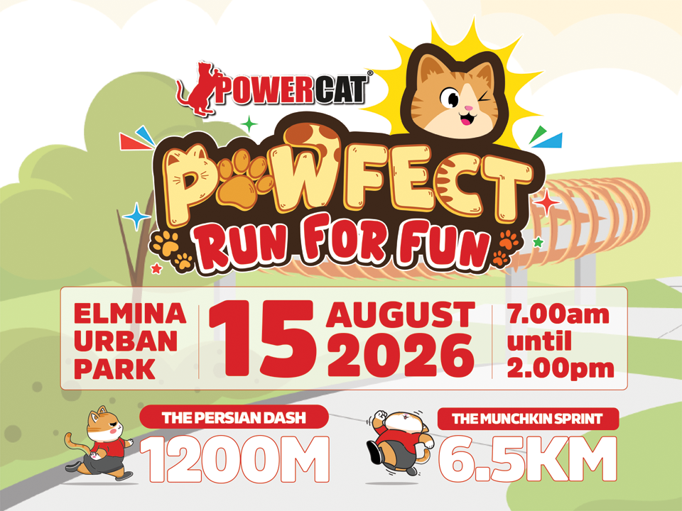 Powercat Pawfect Run for Fun 2026